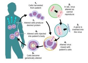 Gene therapy – Science of Healthy
