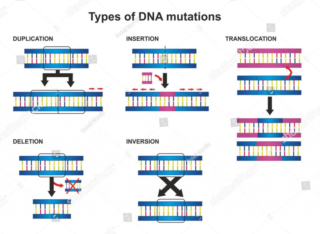 Genetic Mutations